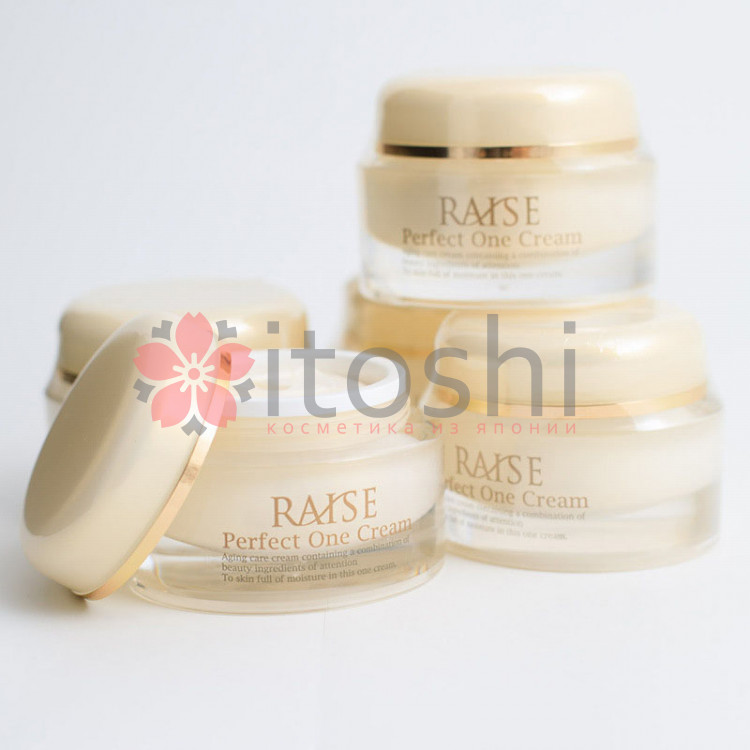 Крем RAISE Perfect One Cream купить в интернет-магазине itoshi.ru ...